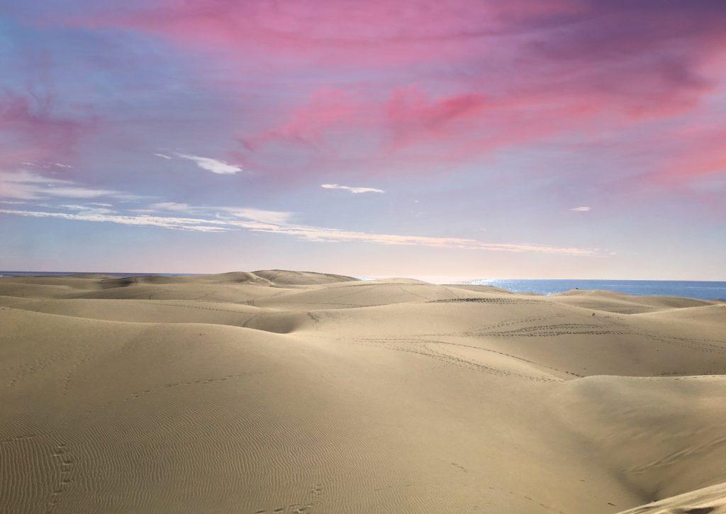 Die Talsohle der Blödheit - Publico