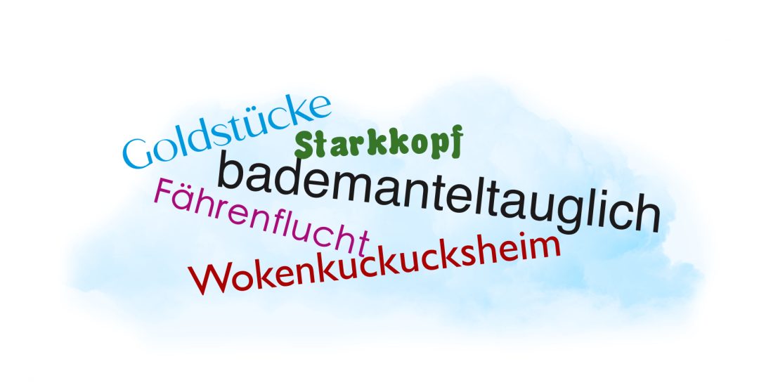 Von ‚bademanteltauglich‘ bis ‚Wokenkuckucksheim‘: Publico sucht die ...